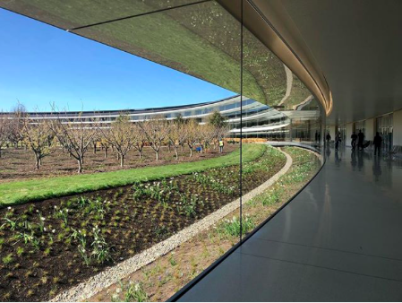Inside Apple Park (photos) | Philip Elmer‑DeWitt